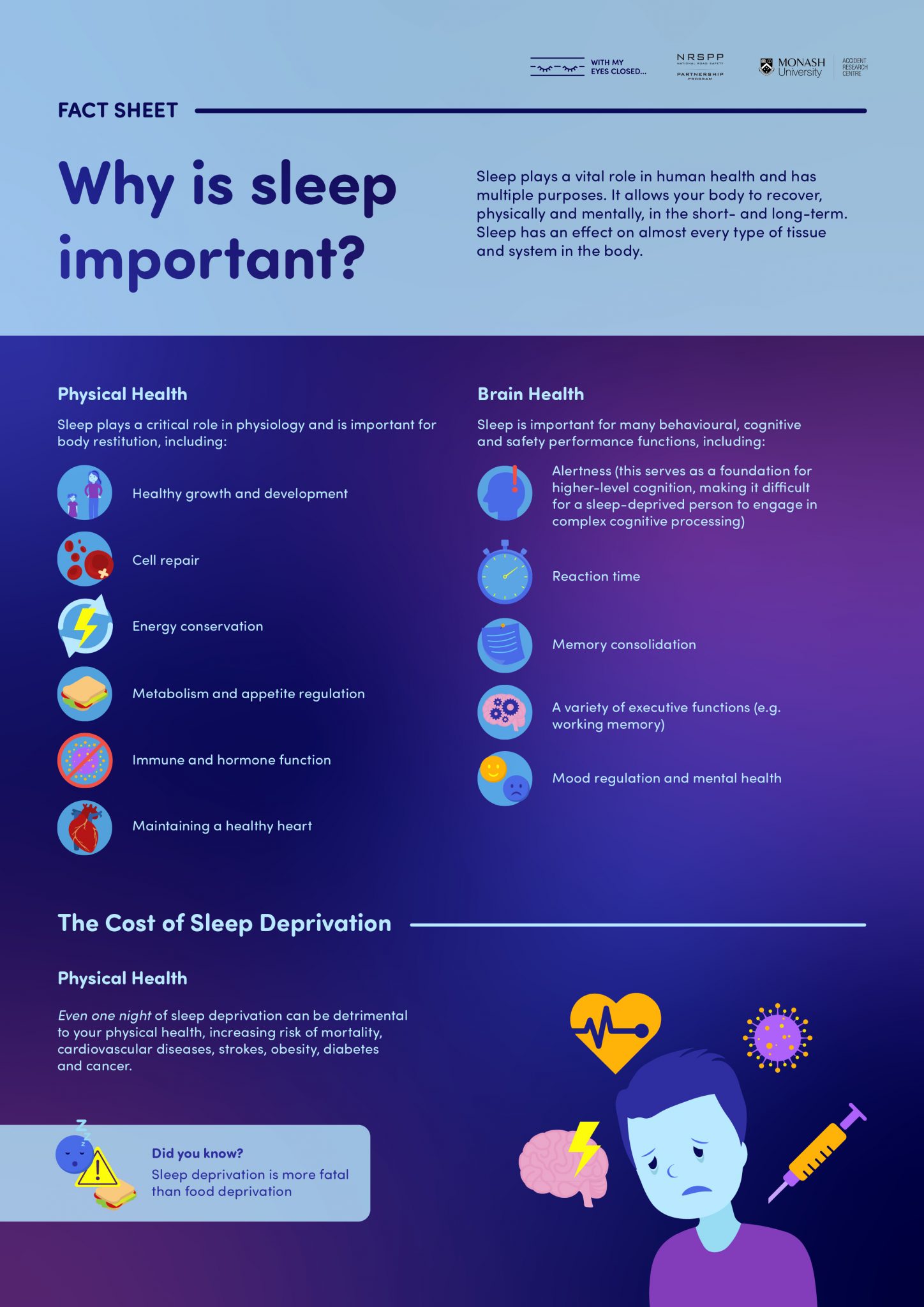 NRSPP Australia » NRSPP Fact Sheet: Driver Sleepiness – Why Is Sleep ...