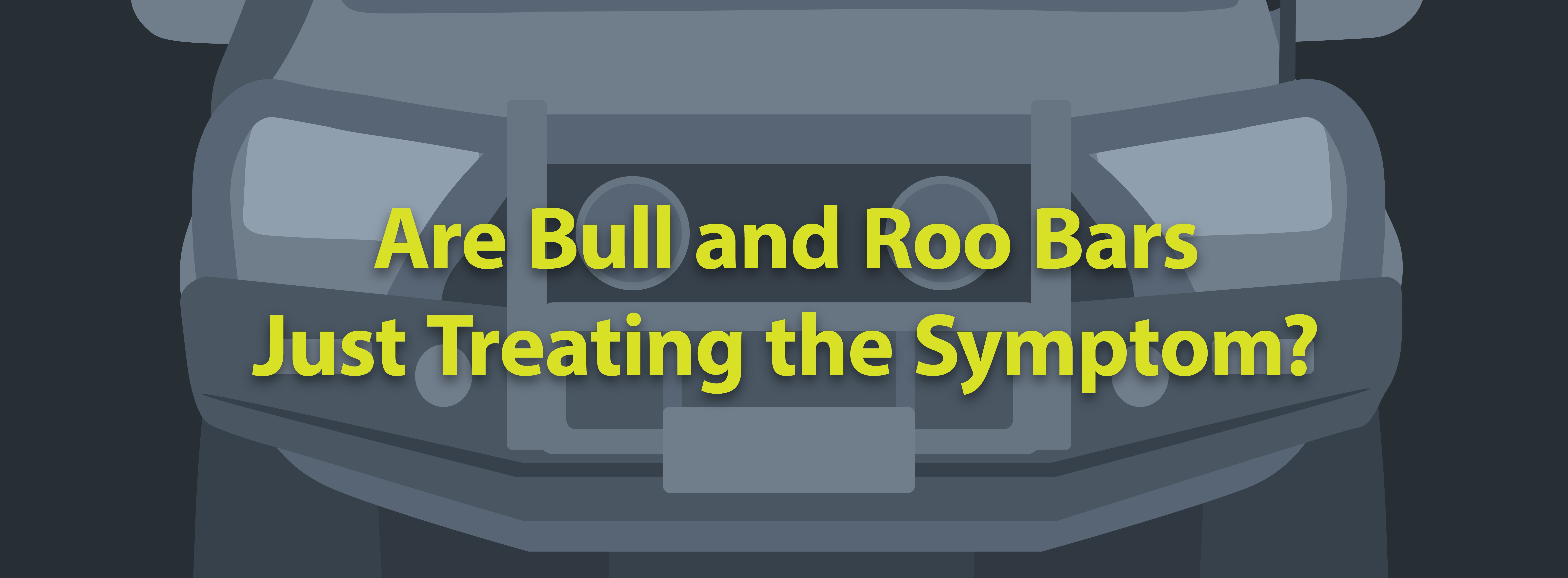 NRSPP Australia - Are Bull and Roo Bars Just Treating the Symptom?