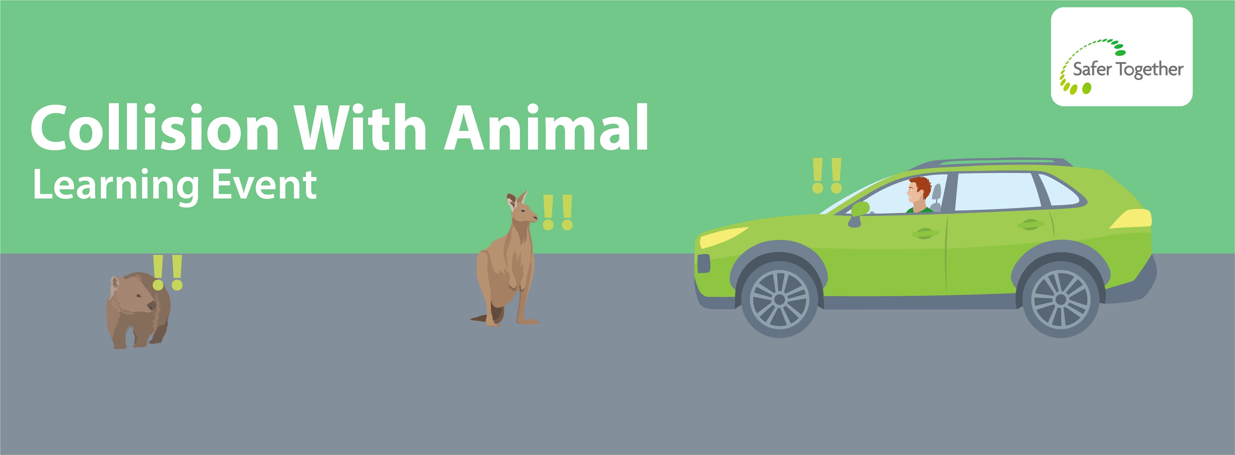 NRSPP Australia - Collisions With Animals