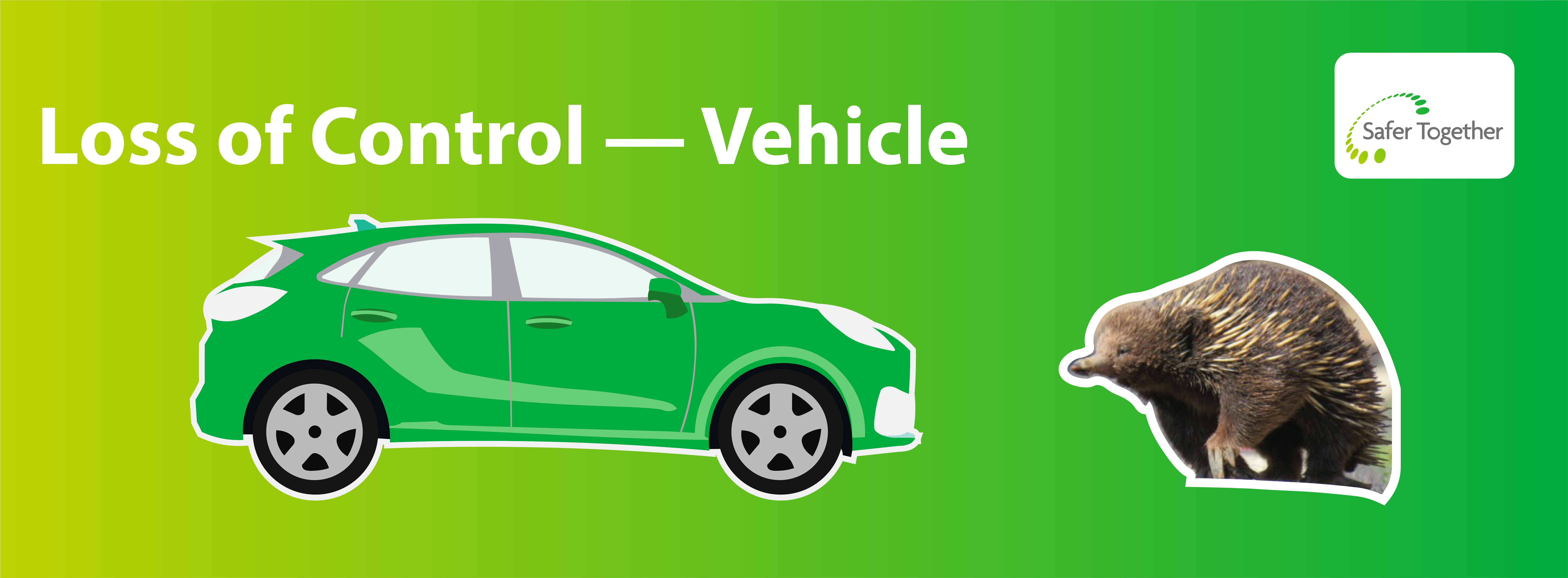 NRSPP Australia - What are you doing to minimise the risk of losing ...