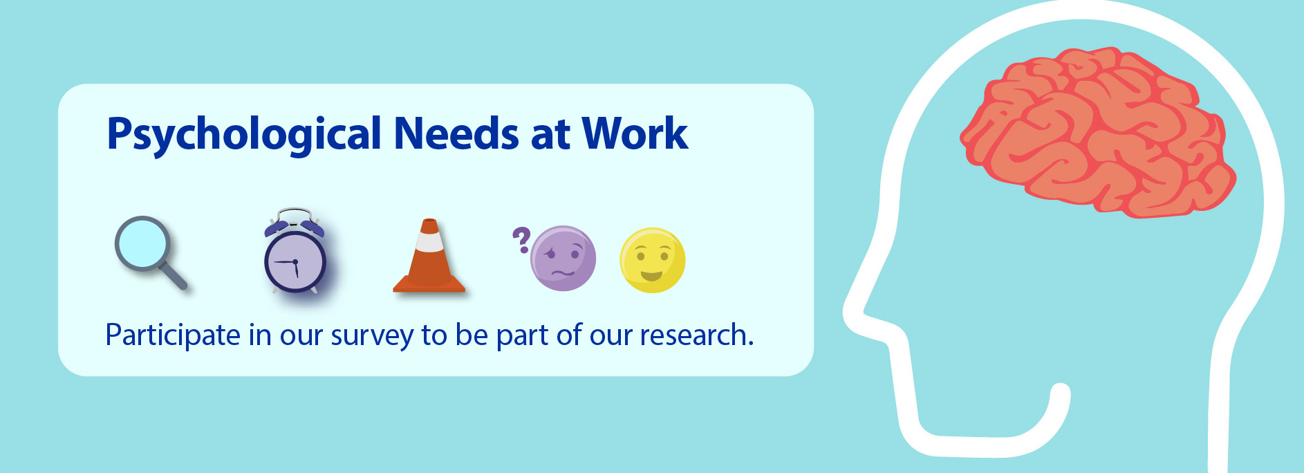 NRSPP Australia - Psychology Needs At Work